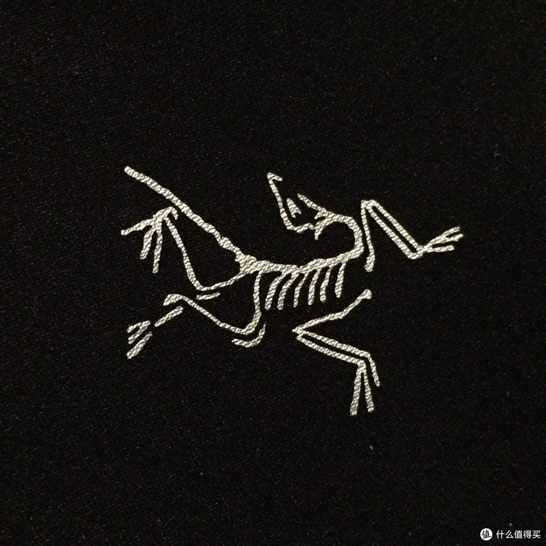 媳妇的 ARC'TERYX 始祖鸟 Rho AR Bottom & RHO LTW Zip_软壳_什么值得买