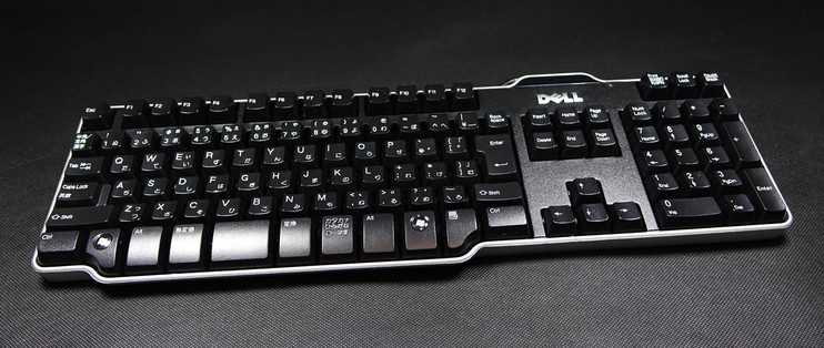 杂谈键盘史 篇二十九：DELL 戴尔 SK-8115/RT7D50/L100 昔日经典键盘（上）_键盘_什么值得买