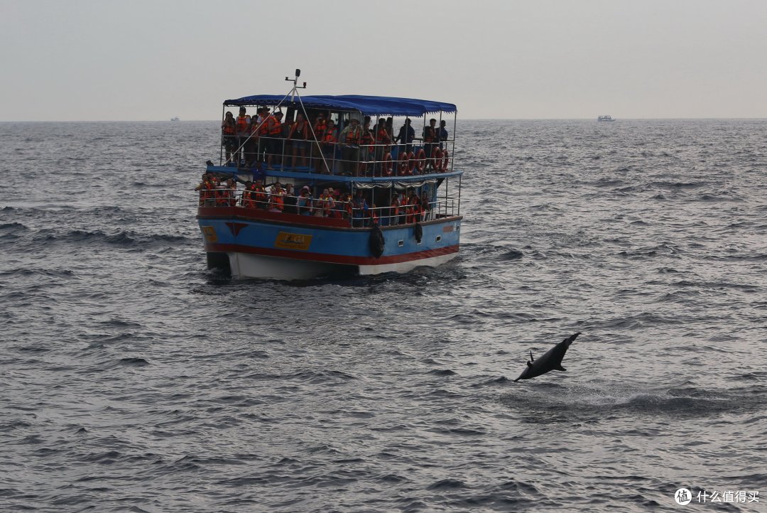 出海观鲸——美瑞莎的绝佳体验_国外旅游_什么值得买
