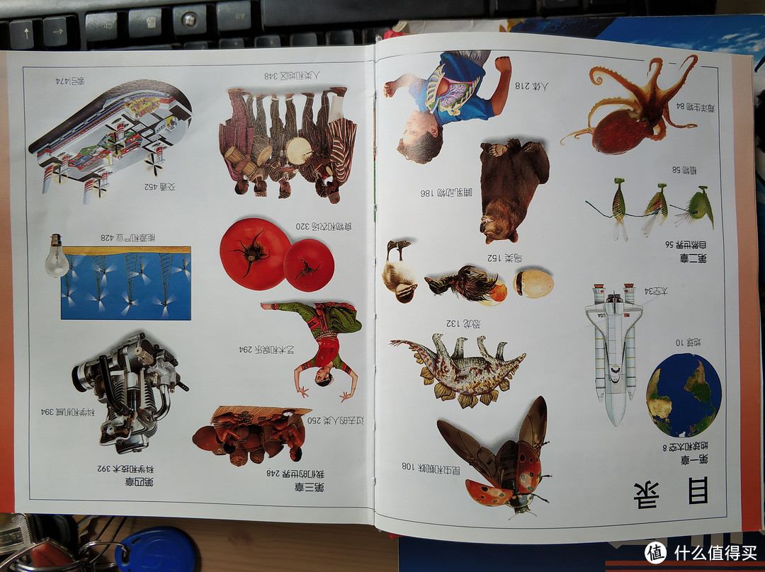 英国DK丛书购买建议_少儿读物_什么值得买