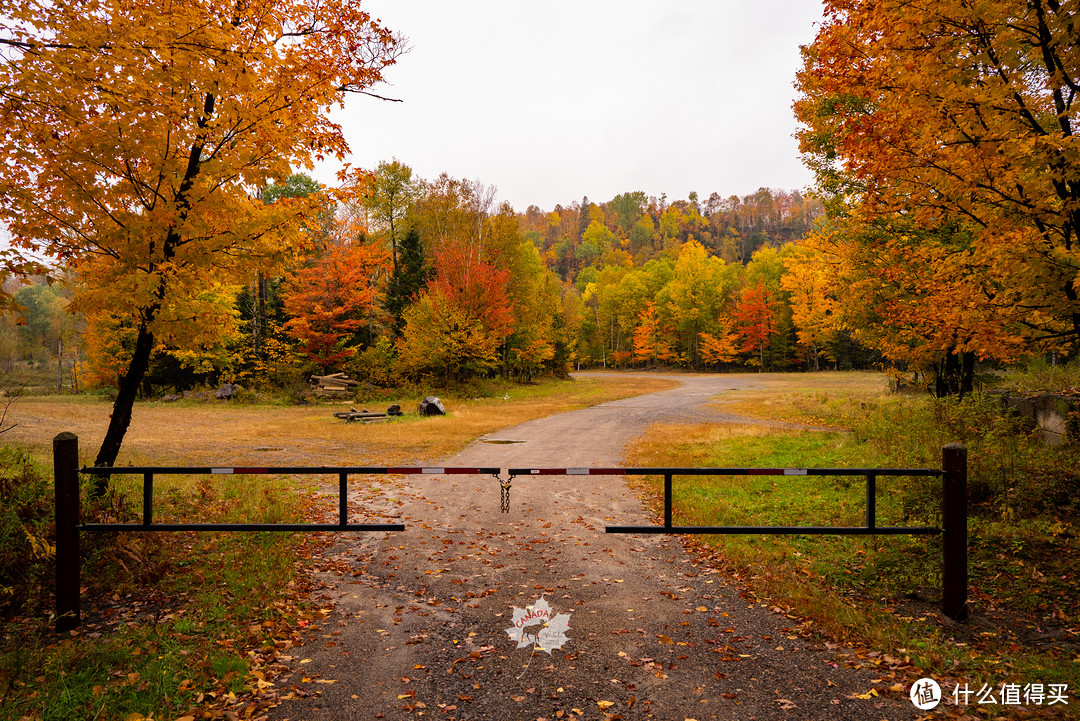 情迷魁北克，加拿大东部自驾赏枫指南_国外自由行_什么值得买