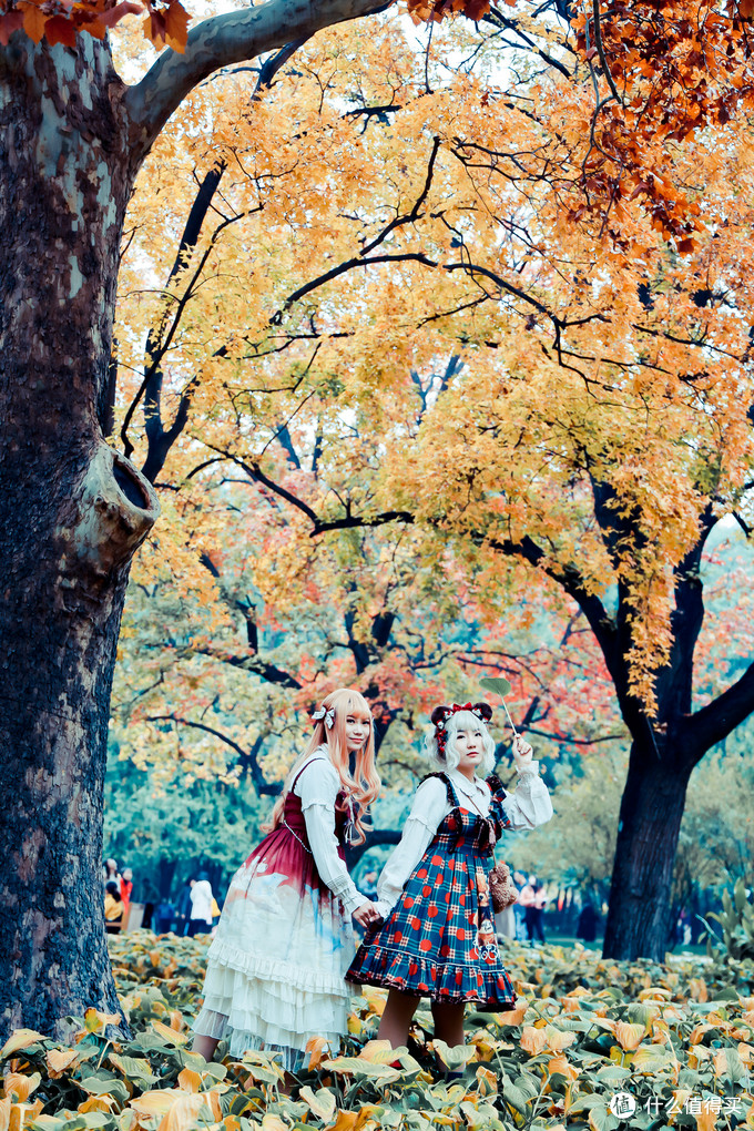 【佳能（Canon）EOS RP】佳能EOS RP相机使用体验 轻装上阵，享受摄影，佳能EOS RP & RF 24-105mm参数配置体验 ...