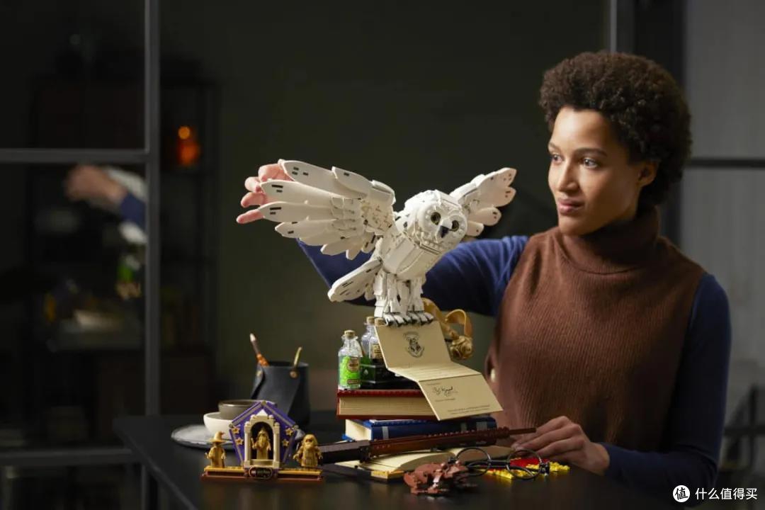 乐高正式公布哈利·波特76391霍格沃茨经典藏品！附藏品赏析_拼插积木_什么值得买