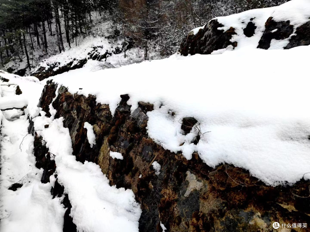 新年到，新品到。听说COLMO洗碗机G53可以吊打G33_洗碗机_什么值得买