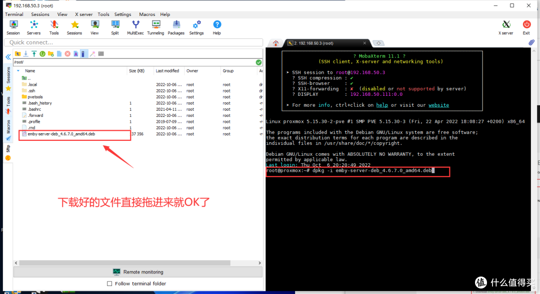 PVE 虚拟机下安装黑群以及emby 硬件直通那些事_软件应用_什么值得买
