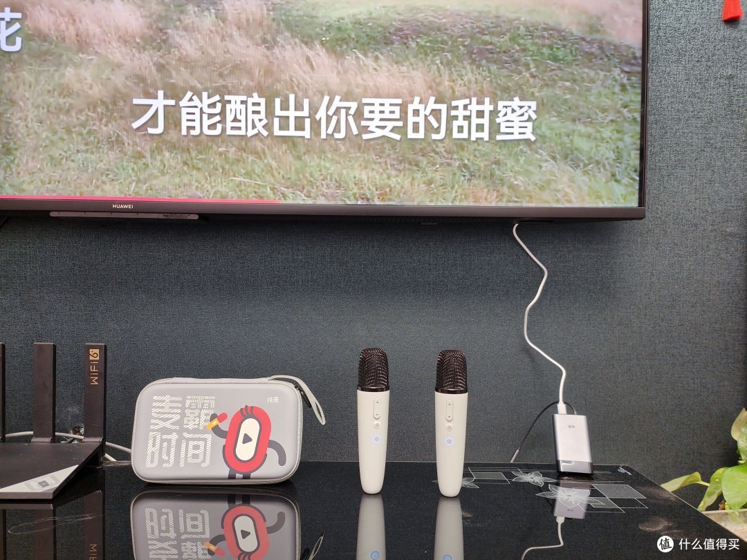 别再去KTV了，纯麦Q1Pro麦克风，在家就能当麦霸_麦克风_什么值得买