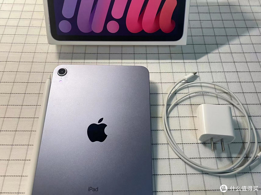 梦寐以求的小平板！iPad mini6十个月使用深度体验_iPad_什么值得买