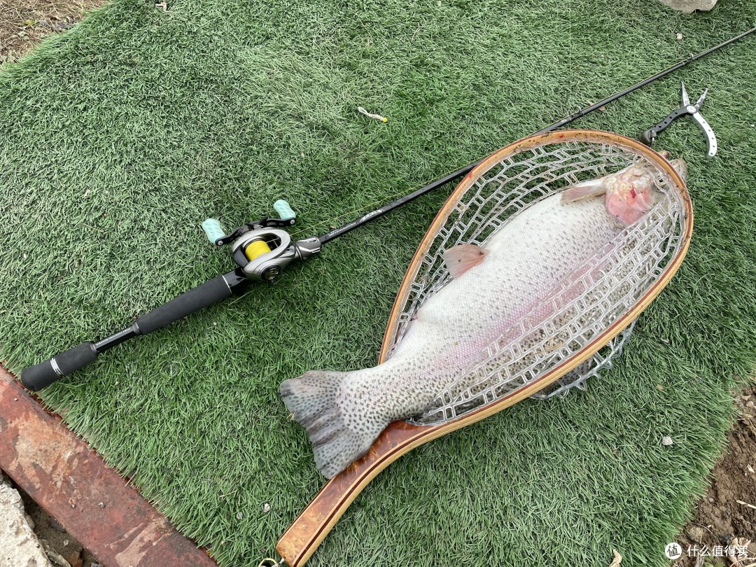 DAIWA STEEZ系列的名竿--Machinegun Cast TypeⅠ 并木敏成机关枪Ⅰ-一本半枪柄路亚竿_垂钓用品_什么值得买