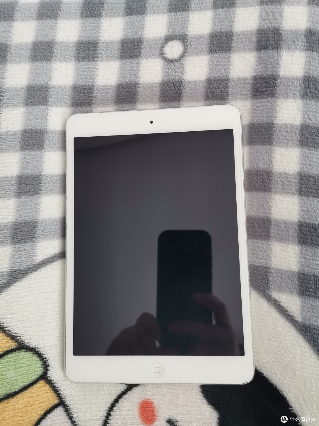 现在还有人用ipadmini2吗？我的mini2还能再战七年！_iPad_什么值得买