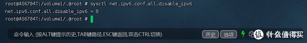 【终极篇】再次硬杠Docker 开启 IPv6 ，如何让默认的bridge网络启用IPv6 支持_NAS存储_什么值得买