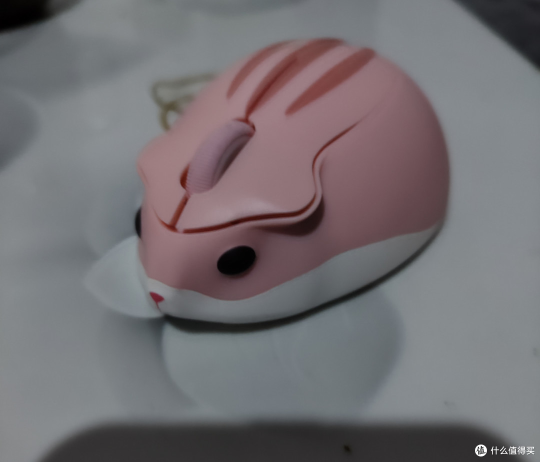 当我拥有了一个非常可爱的鼠标！_鼠标_什么值得买