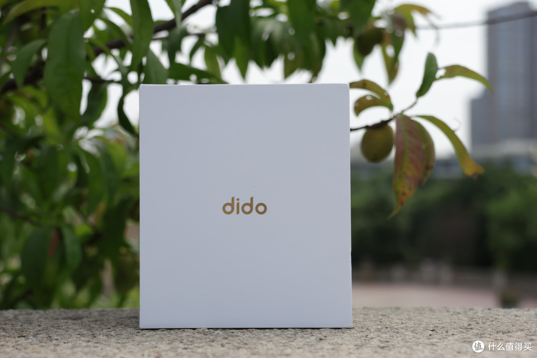 dido E56S Max｜佩戴多元，无创免扎针心电、血糖、血压智能手表_智能手表_什么值得买