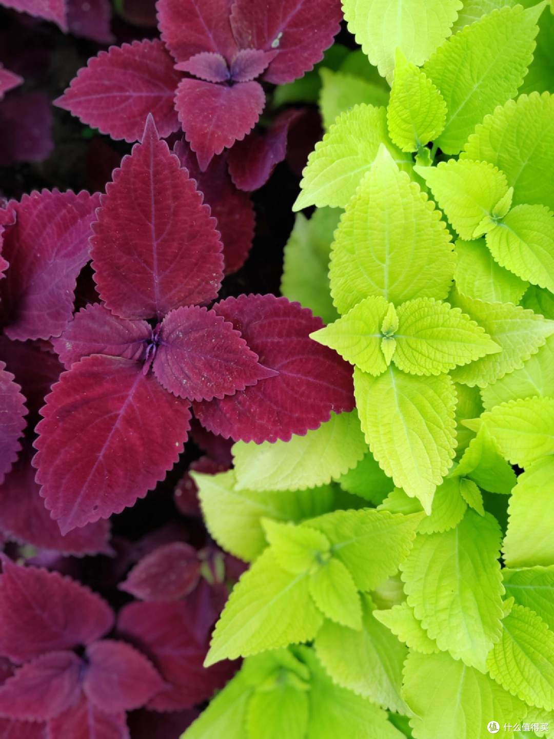 堪称是荣耀数字系列最好用的手机，荣耀80GT绝对值_安卓手机_什么值得买