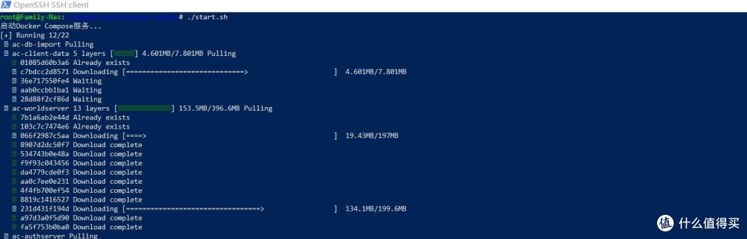 带着你的机器人在艾泽拉斯大陆冒险-黑群晖docker开源魔兽单机版Npcbot机器人篇_NAS存储_什么值得买