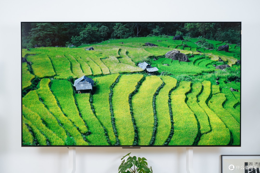 拉满的沉浸体验：聊聊TCL C11G Pro的爆款基因_电视_什么值得买