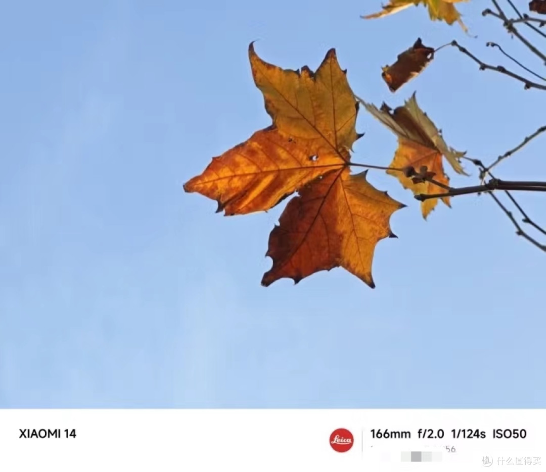 注重外观、系统稳定和拍照，魅族21、小米14和红米K70Pro选哪个？_安卓手机_什么值得买