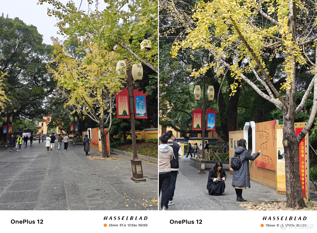 我的日常：索尼LYT808与OV64B潜望长焦，两者的拍摄体验如何？_安卓手机_什么值得买