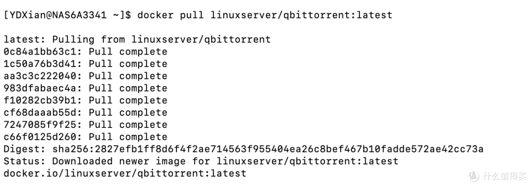 如何更新Docker容器镜像？这里有四种方法！_NAS存储_什么值得买