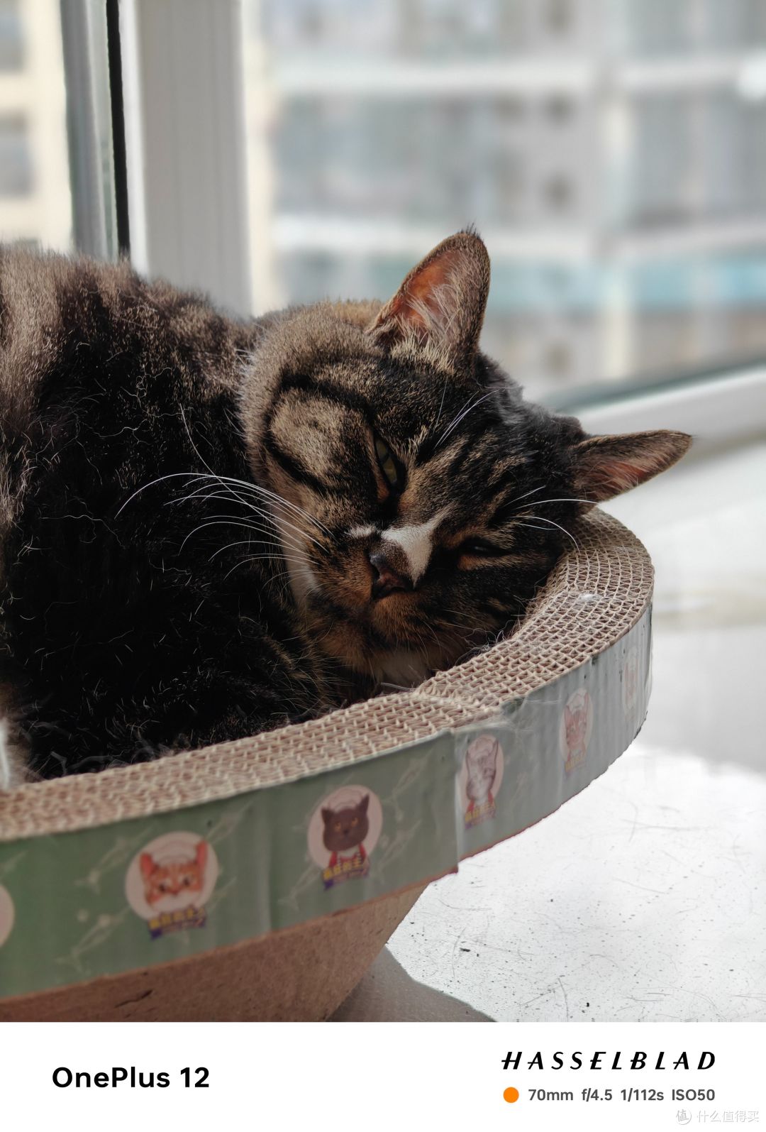 24G 1T版本一加12 4000元价位没对手 使用月余 全方位体验奉上_安卓手机_什么值得买