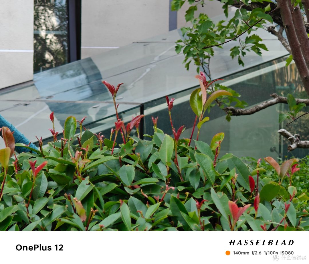 24G 1T版本一加12 4000元价位没对手 使用月余 全方位体验奉上_安卓手机_什么值得买