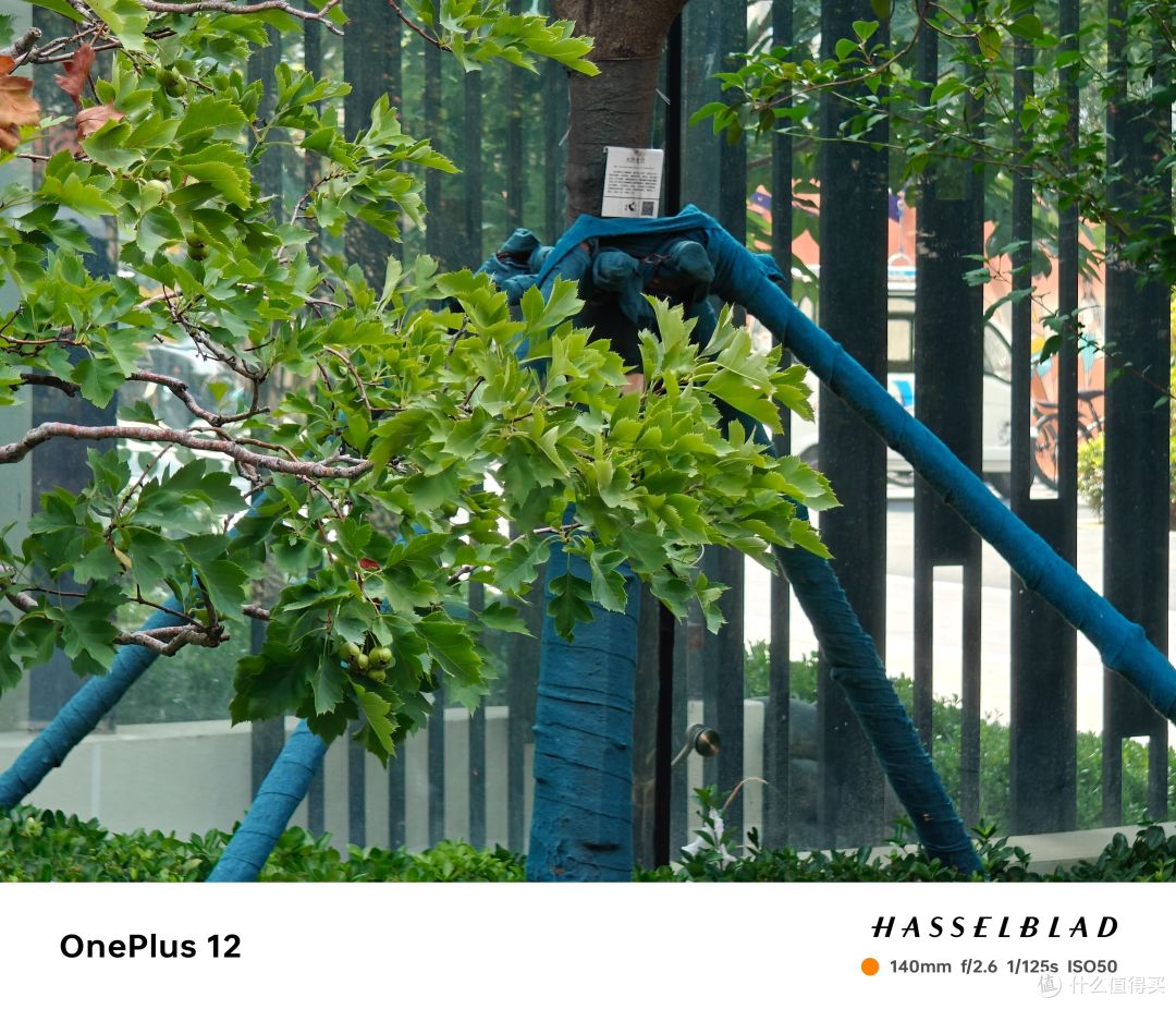 24G 1T版本一加12 4000元价位没对手 使用月余 全方位体验奉上_安卓手机_什么值得买