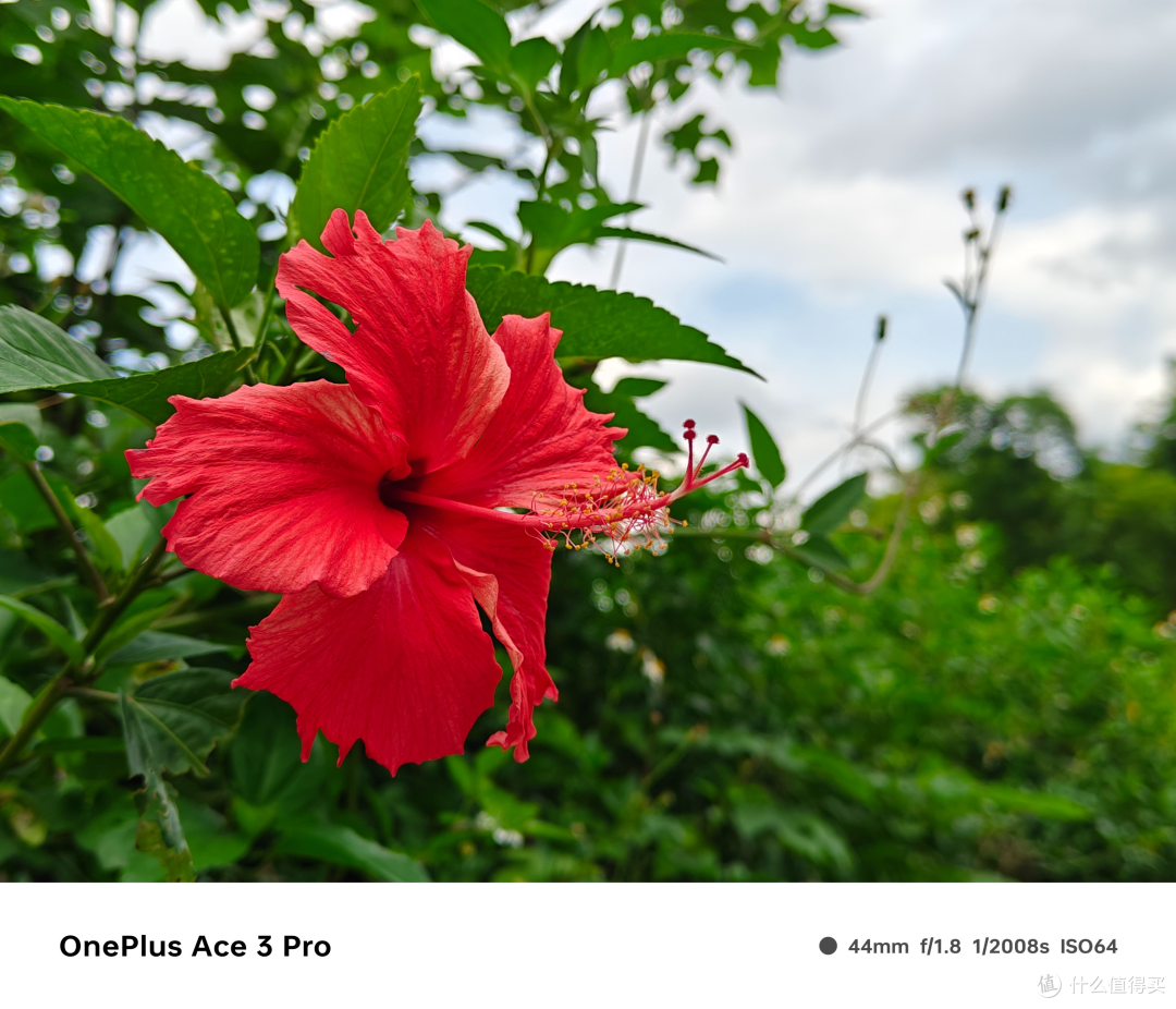 一加Ace3 Pro与一加Ace3、一加12三款机型对比，我选择实用高性能_安卓手机_什么值得买