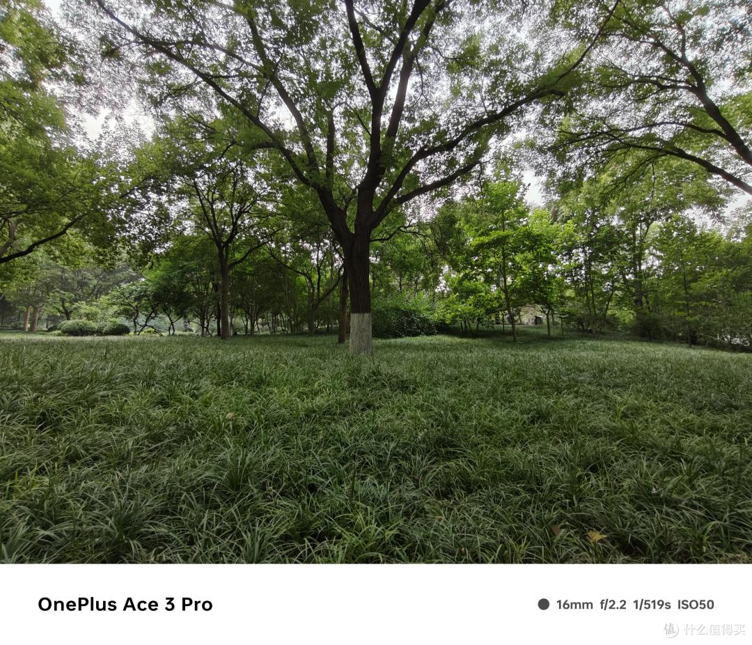 手机｜无限趋近于旗舰机的中端机，一加Ace3 Pro超详细评测~_安卓手机_什么值得买