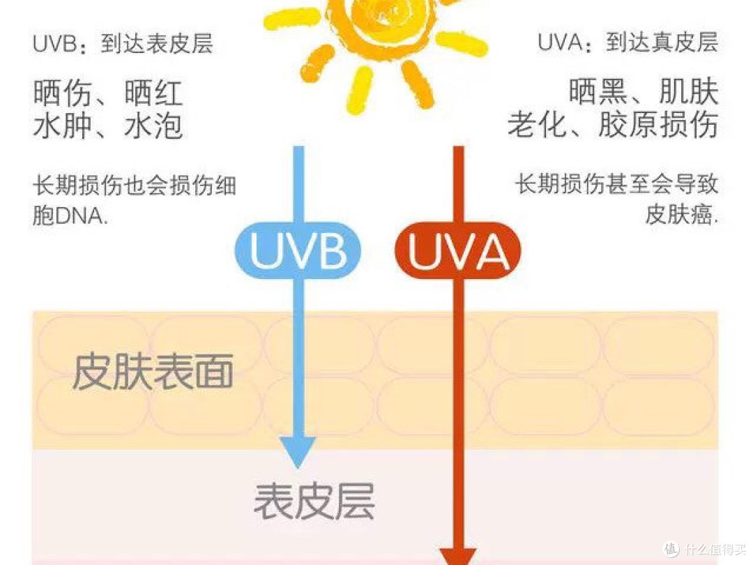 UVA、UVB.SPF和PA到底是何物?_防晒隔离_什么值得买