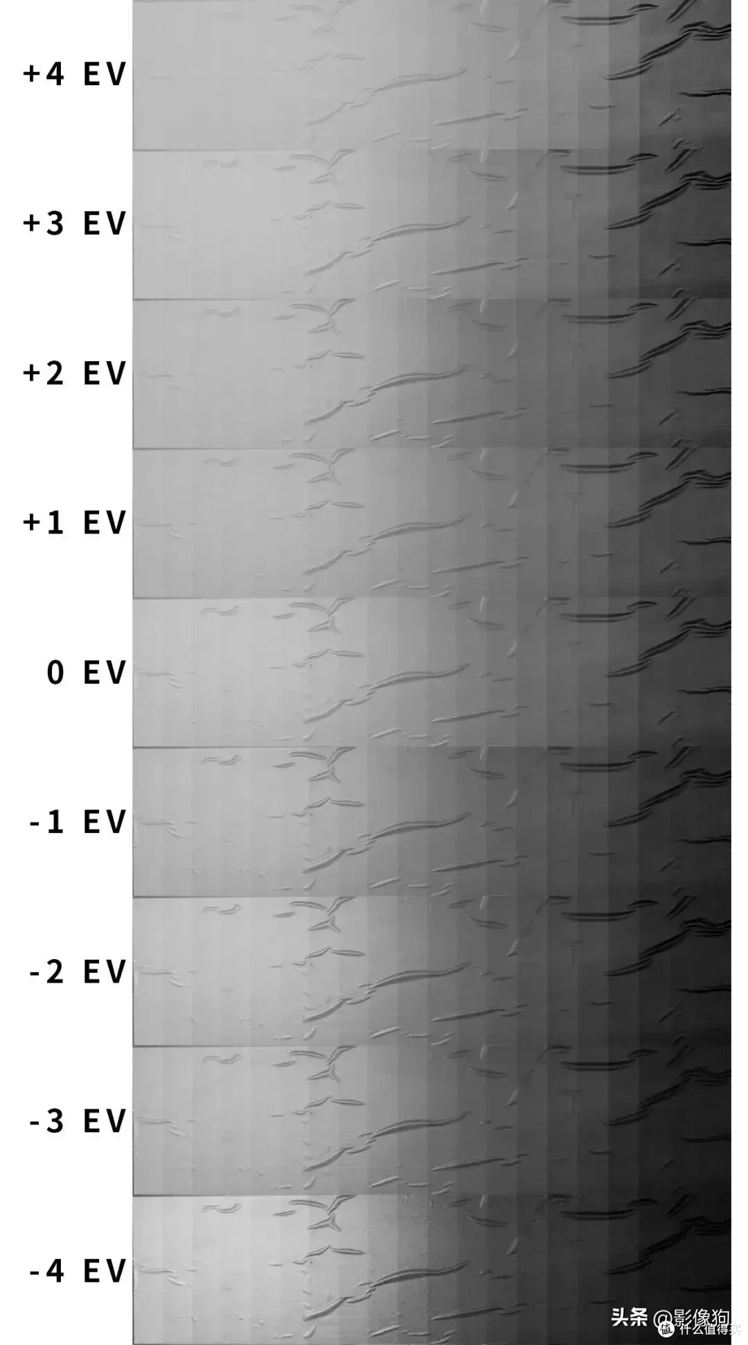 AI加持的最强对焦？佳能R5 Mark II全面测评_无反相机_什么值得买