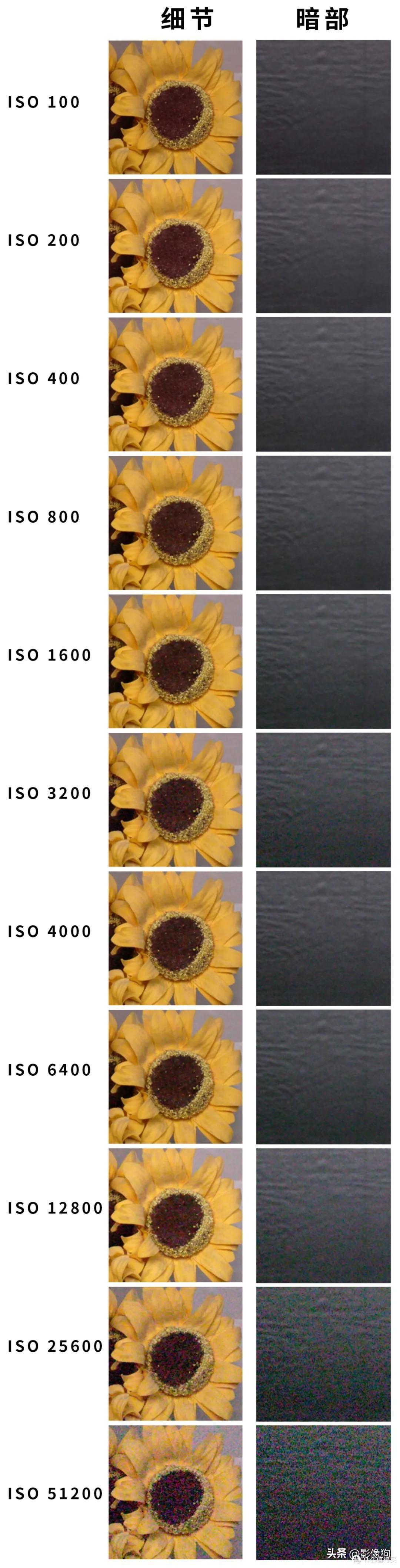 AI加持的最强对焦？佳能R5 Mark II全面测评_无反相机_什么值得买