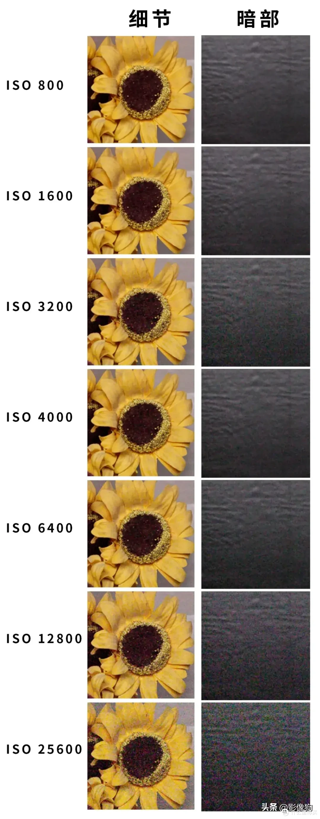 AI加持的最强对焦？佳能R5 Mark II全面测评_无反相机_什么值得买