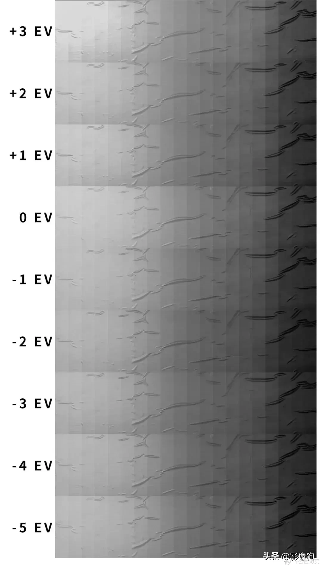 AI加持的最强对焦？佳能R5 Mark II全面测评_无反相机_什么值得买