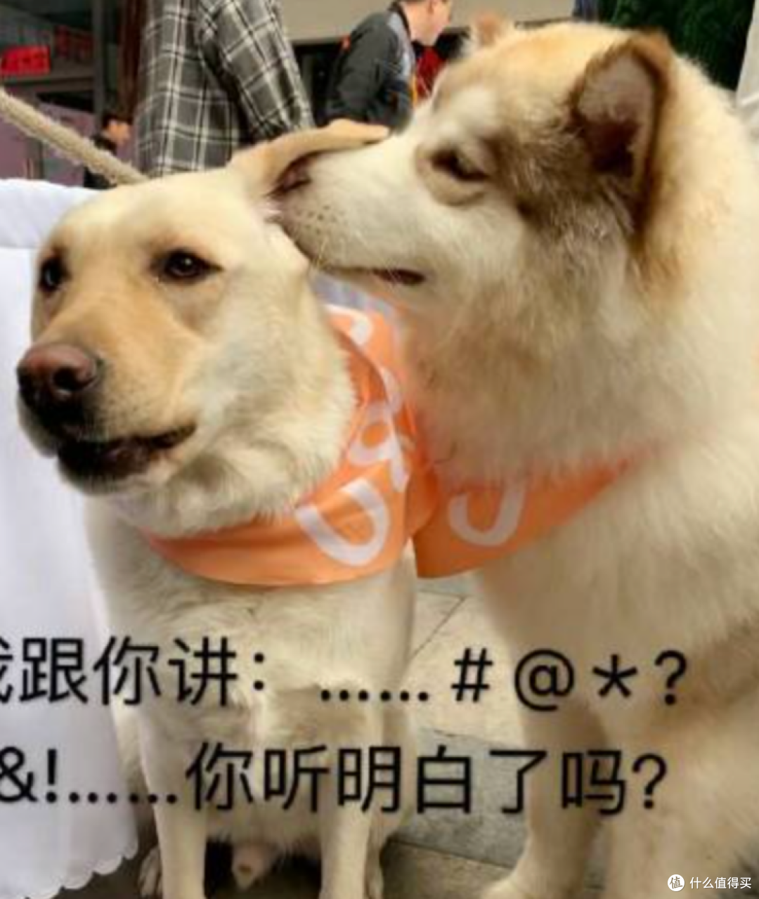 NAS指南 | 还是搞不懂SMB、FTP、WebDAV等协议？_NAS存储_什么值得买