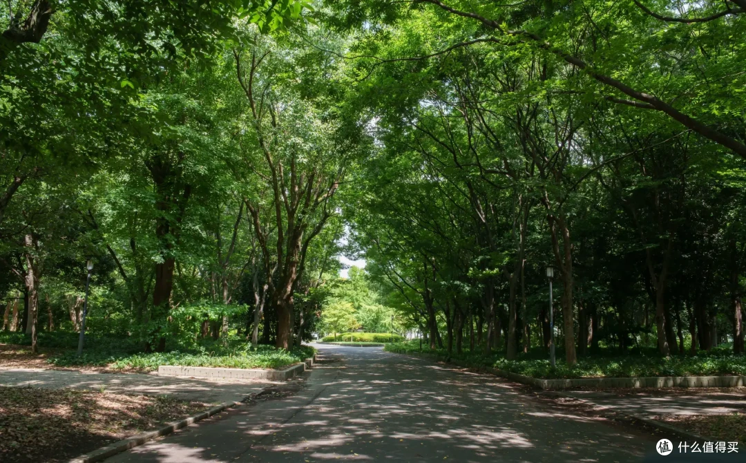 主打视频偏科严重 不如叫ZVE1青春版？索尼ZE10二代体验 这价格不入门啊_相机_什么值得买