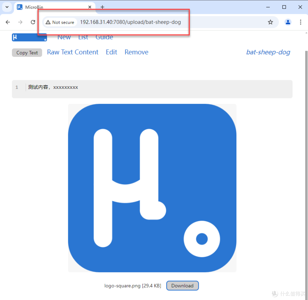 NAS 部署 MicroBin 粘贴板，这么多人推荐真的好用？_网络存储_什么值得买