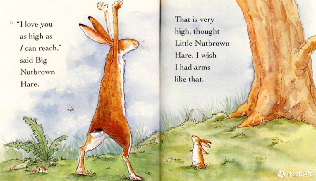 绘本精读《Guess How Much I Love You》猜猜我有多爱你_少儿读物_什么值得买