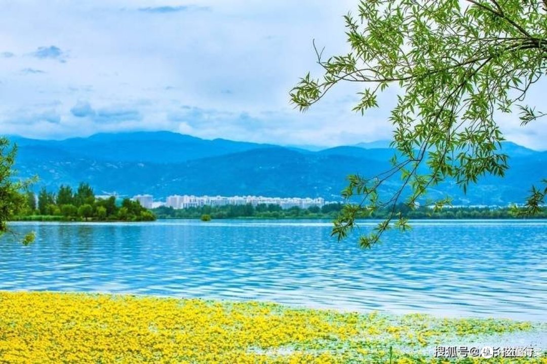 揭秘！85折购大疆Action5Pro，神操作？_运动相机_什么值得买