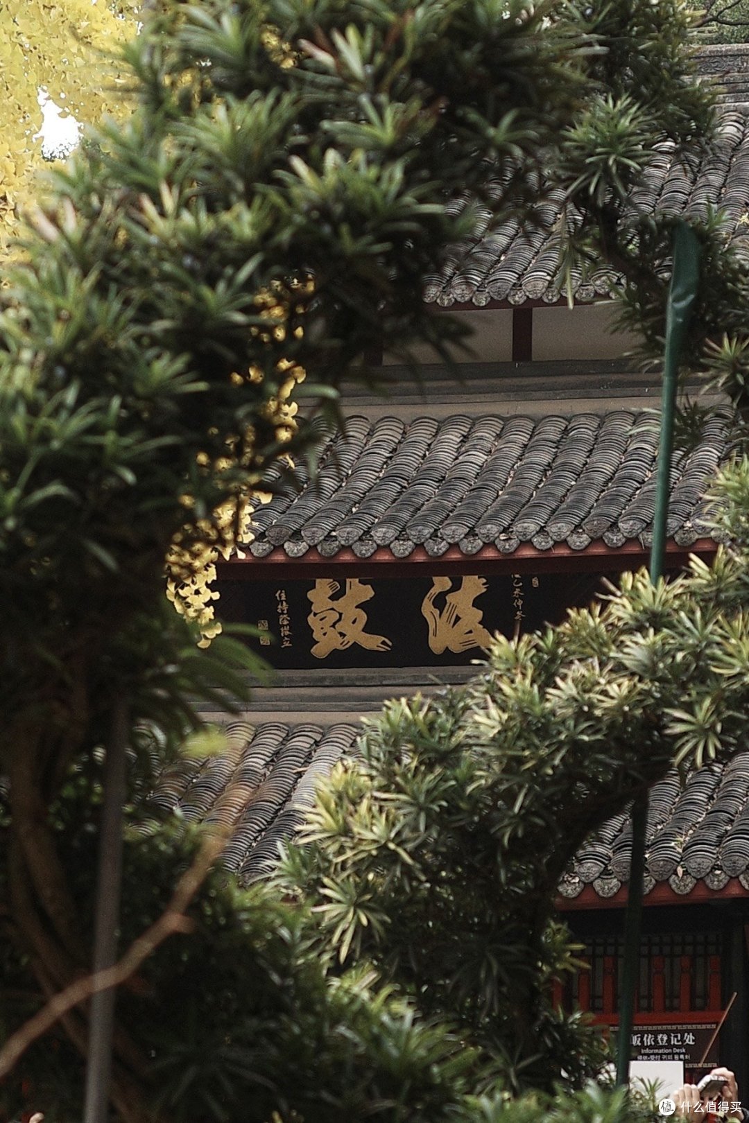 【拍照新技能get】理光GR3X拍照配方大公开，轻松拍出大片感！_数码相机_什么值得买