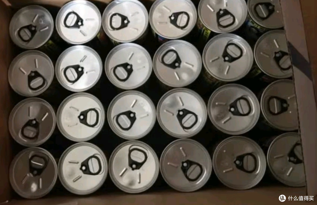 年货清单好物之椰树牌正宗 椰子汁 245ml*24罐整箱装 _乳饮料_什么值得买