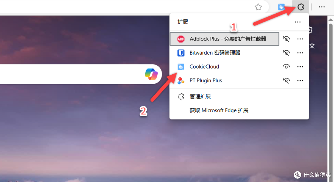 NAS 安装 CookieCloud，实现跨浏览器同步 Cookie_网络存储_什么值得买