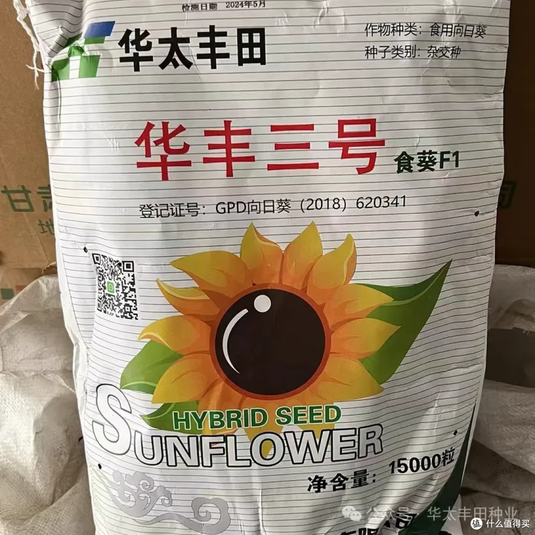 向日葵种子挑选指南主流品种sh363，华丰三号，同庆六号，金禾8号_园艺用品_什么值得买
