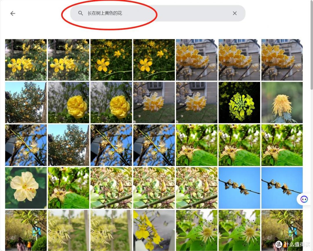 2025.4最新AI相册immich更换支持中文搜索的CLIP大模型教程_办公软件_什么值得买