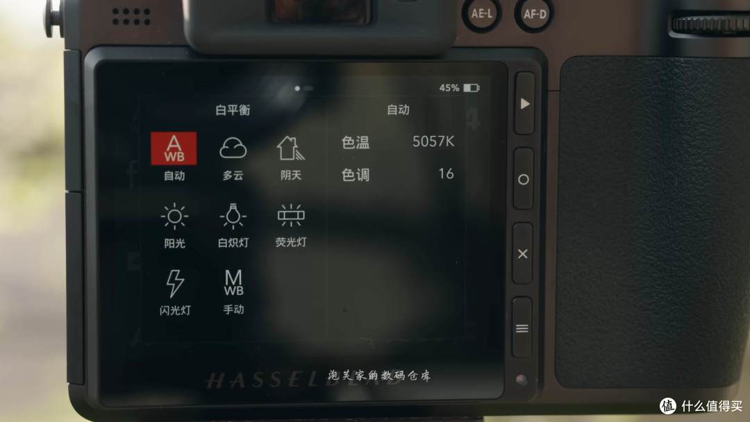 新手入门机？哈苏X2D 100C深度评测 1亿像素+AI 5万4让你变老法师_无反相机_什么值得买