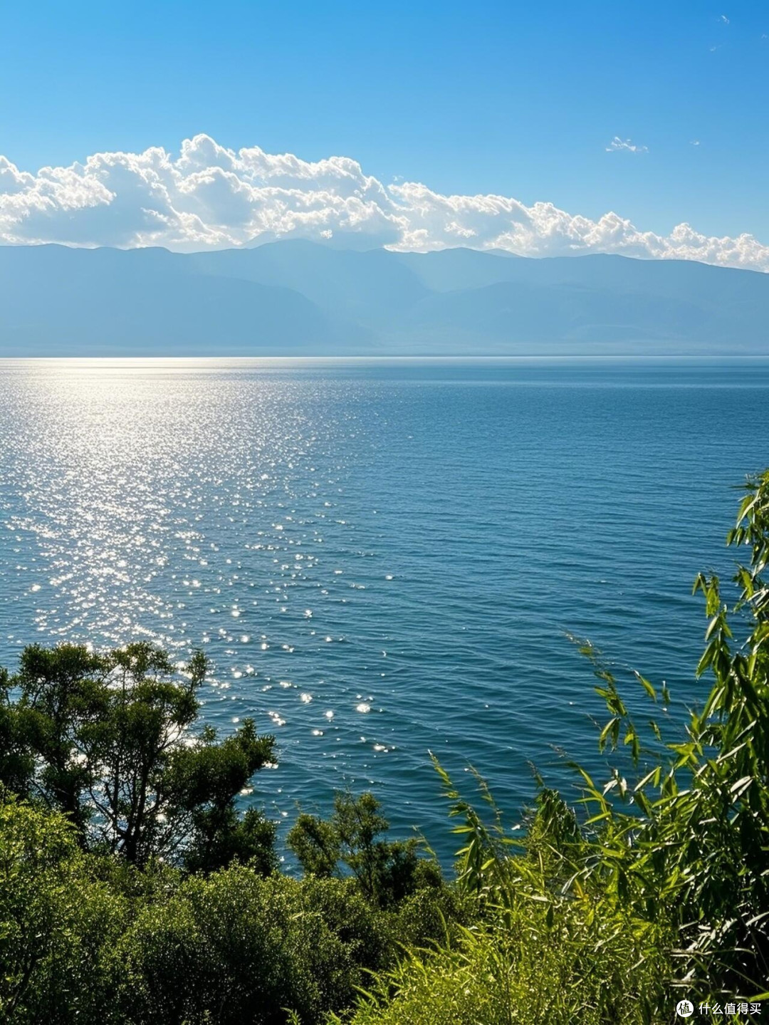 国家中小学资源一键下载！Smartedu 工具实测：免登录_办公软件_什么值得买