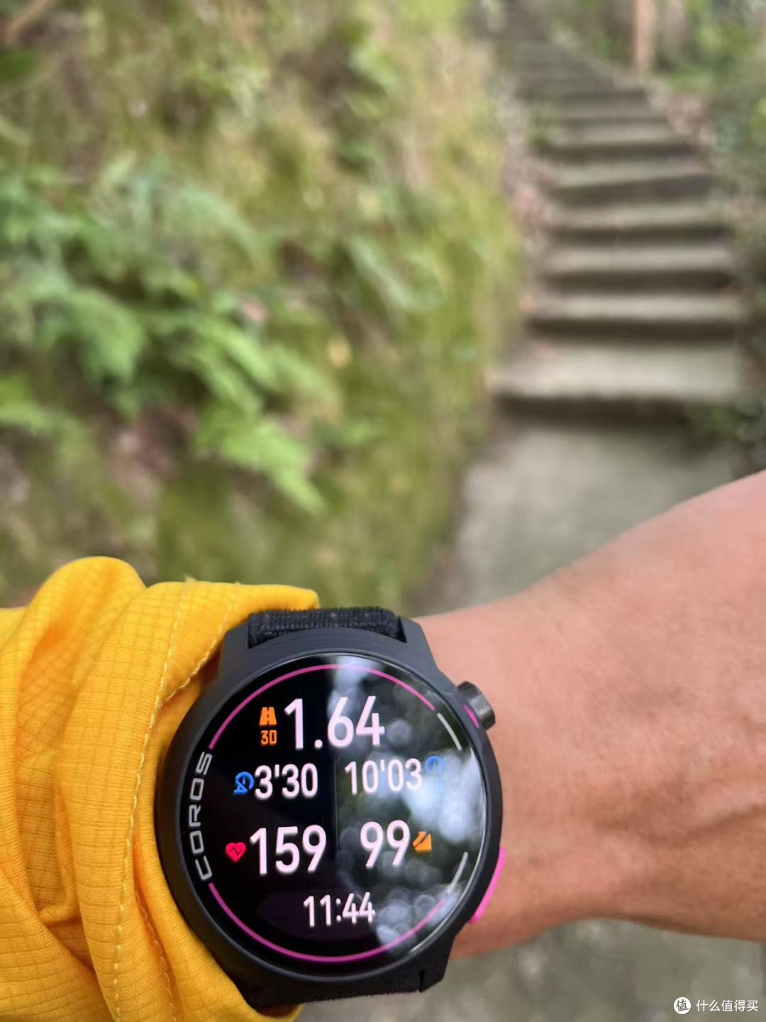 PACE Pro 60天长测 I 跑步装备_心率表_什么值得买