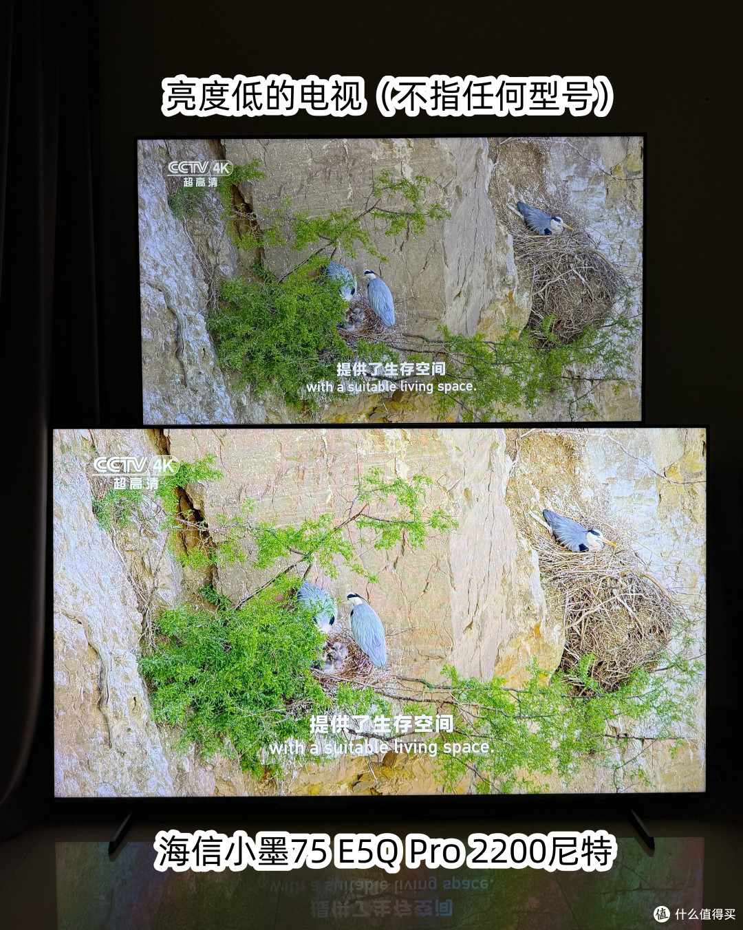 24年卖得最好电视PK！海信小墨E5Q Pro和T7L Pro新款横向测评_液晶电视_什么值得买