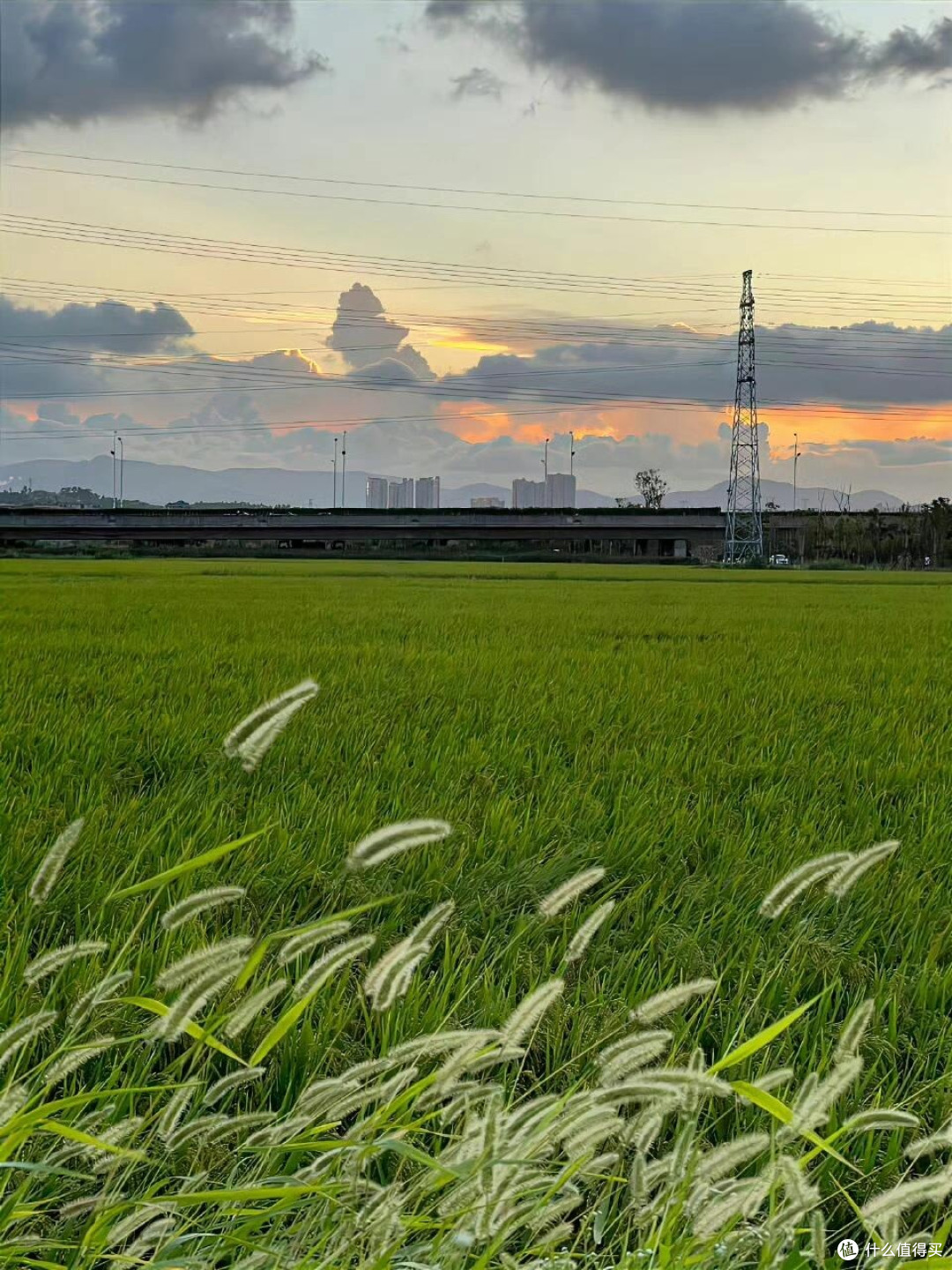 WPS版OneKeyTools Lite功能解析_办公软件_什么值得买