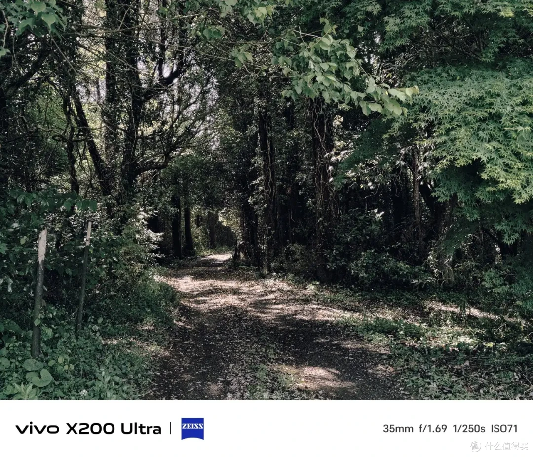 vivo X200U实测体验 影像出色 但对比索尼6700样张也不输？_安卓手机_什么值得买