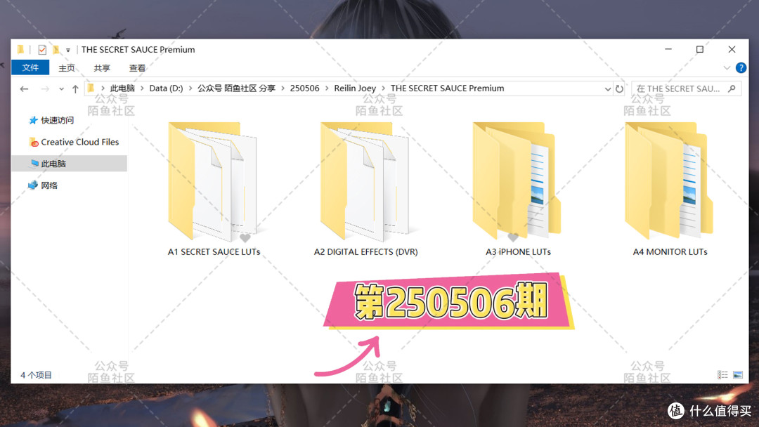摄影师Reilin Joey高级佳能松下索尼相机监视器LUT达芬奇调色预设_影像_什么值得买