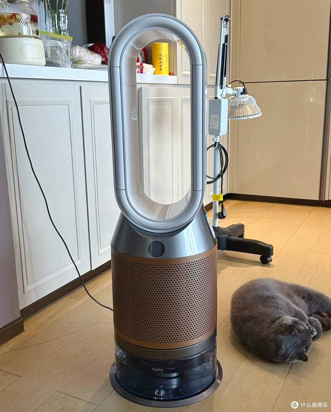 戴森 DYSON PH05：一物多能，空气加湿智能净化风扇_空气净化器_什么值得买